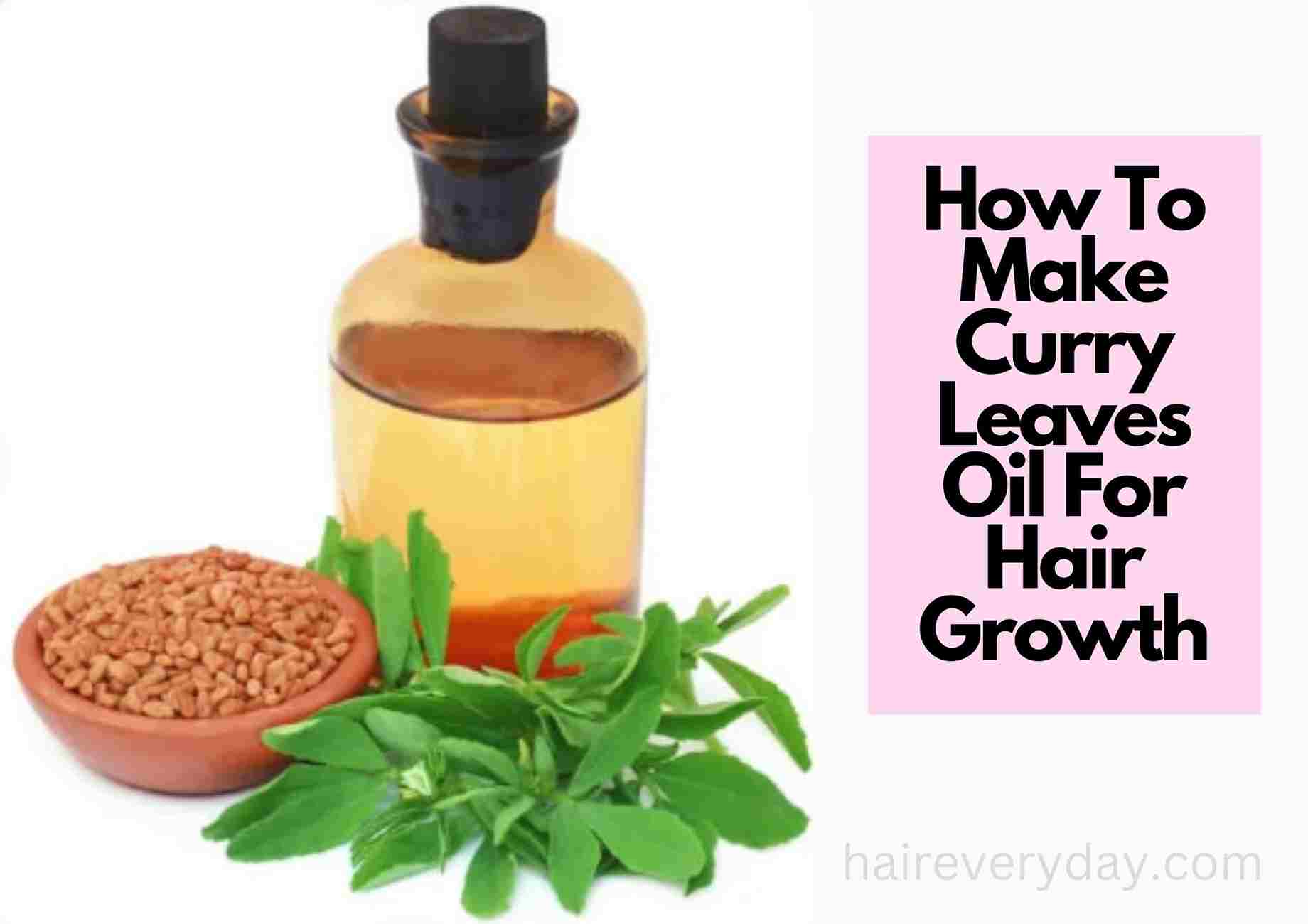 How To Make Curry Leaves Oil For Hair Growth | In 12 Easy Steps – Hair ...